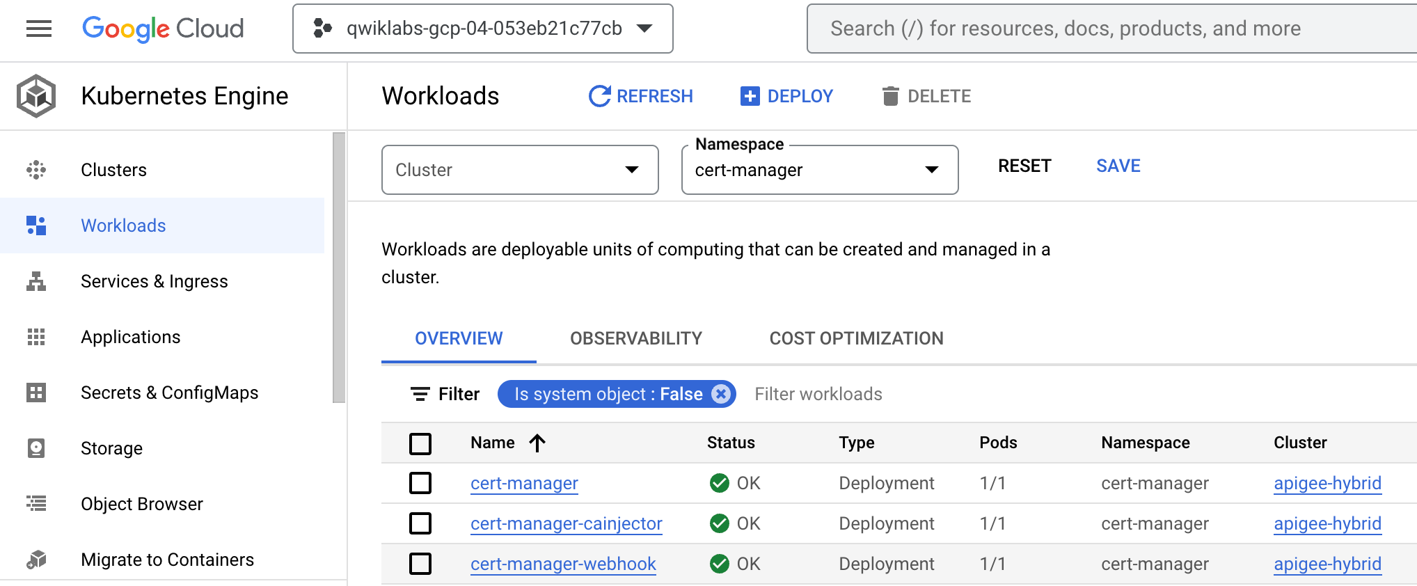 Installing and Managing Apigee Hybrid | Google Cloud Skills Boost